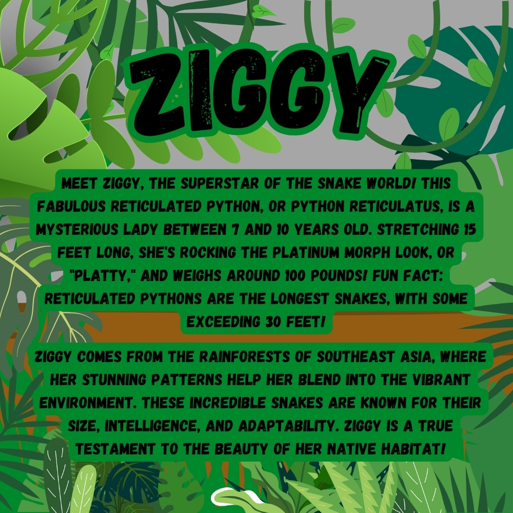 Goobers Party Animals